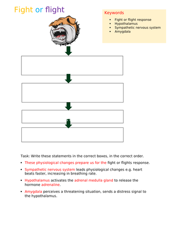 AQA Psychology: Biopsychology: Fight or Flight Response | Teaching ...