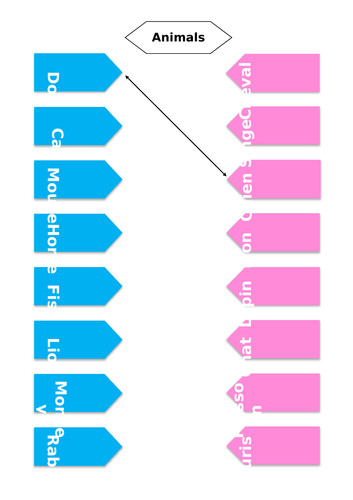 English to French match up - Animals | Teaching Resources
