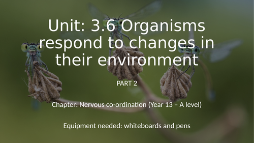 3.6.2.1 L1 Neurons and nervous co-ordination (AQA A-level Biology ...