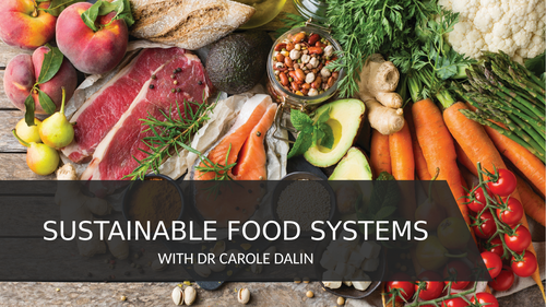 How sustainable is your food? | Teaching Resources