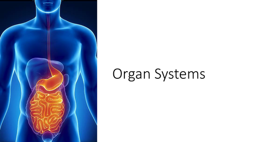 Exploring Science 7A – Cells, Tissues, Organs and Systems | Teaching ...