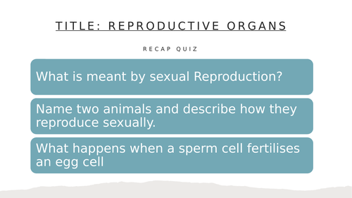 Exploring Science 7B – Sexual Reproduction in Animals | Teaching Resources