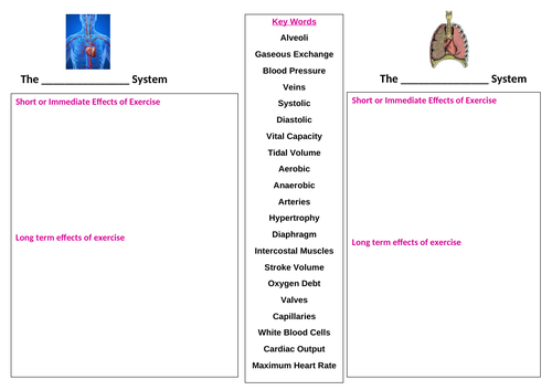 Cardiovascular and Respiratory revision worksheet | Teaching Resources