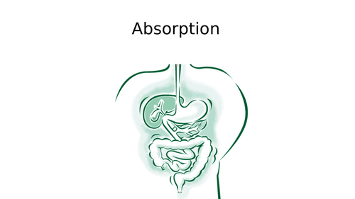 Exploring Science 8A – Food and Nutrition | Teaching Resources