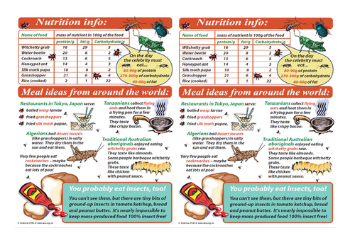 Exploring Science 8A – Food and Nutrition | Teaching Resources