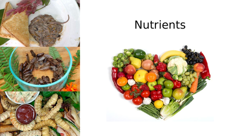 Exploring Science 8A – Food and Nutrition | Teaching Resources