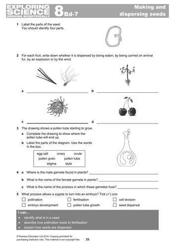 Exploring Science 8B – Plants and their Reproduction | Teaching Resources
