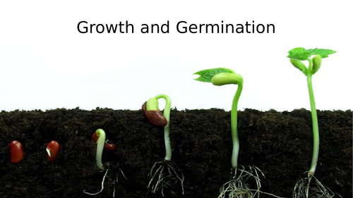 Exploring Science 8B – Plants and their Reproduction | Teaching Resources