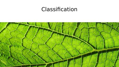 Exploring Science 8B – Plants and their Reproduction | Teaching Resources