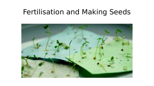 Exploring Science 8B – Plants and their Reproduction | Teaching Resources