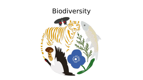 Exploring Science 8B – Plants and their Reproduction | Teaching Resources