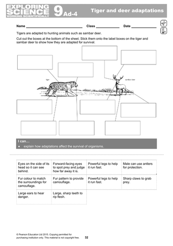 Exploring Science 9A – Genetics and Evolution | Teaching Resources