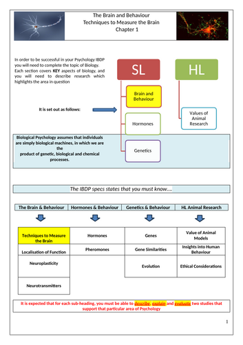 IBDP SL - Biological Psychology - Techniques for Measuring the Brain ...