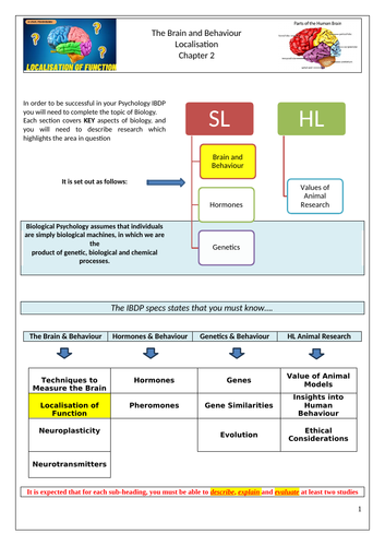 IBDP SL - Biological Psychology - Localisation of Function | Teaching ...