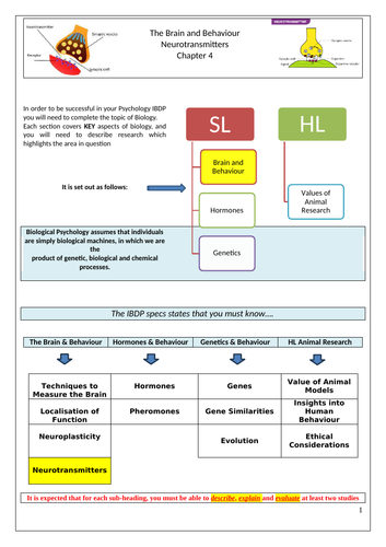 IBDP SL - Biological Psychology - Neurotransmitters | Teaching Resources