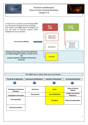 IB SL Biological Psychology - Genes and Gene Similarity | Teaching ...