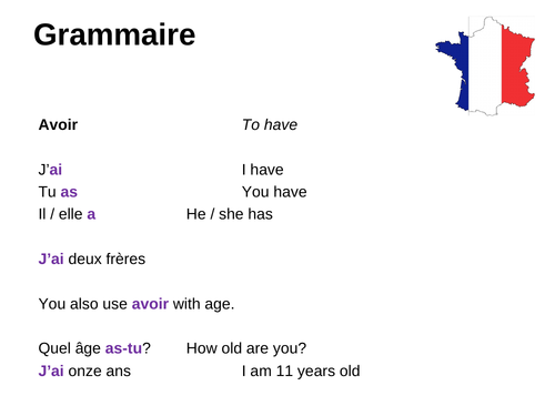 Avoir (Present Tense) | Teaching Resources