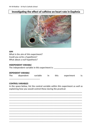 Investigating the effect of caffeine on heart rate in Daphnia ...