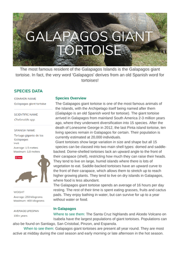English Information Page - Galapagos Animals Y5/6 | Teaching Resources