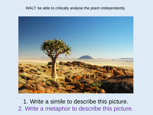 KS3 Nature Poetry | Teaching Resources