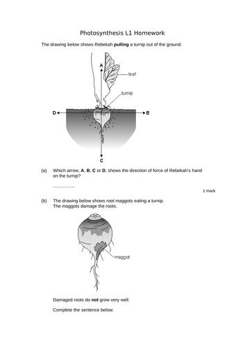 KS3 Science | 3.9.4 Photosynthesis - Lesson 1 What do plants need to ...