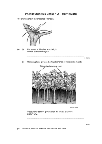 KS3 Science | 3.9.4 Photosynthesis - Lesson 2 What parts do roots play ...