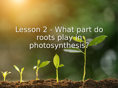 KS3 Science | 3.9.4 Photosynthesis - ALL LESSONS | Teaching Resources