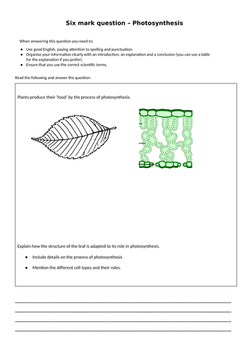 KS3 Science | 3.9.4 Photosynthesis - Lesson 3 How are plants adapted ...