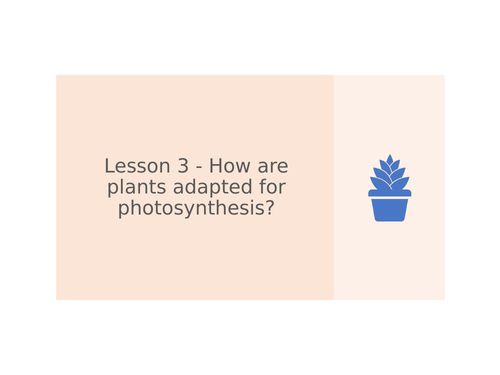 KS3 Science | 3.9.4 Photosynthesis - ALL LESSONS | Teaching Resources