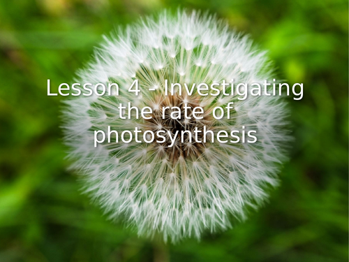 KS3 Science | 3.9.4 Photosynthesis - ALL LESSONS | Teaching Resources
