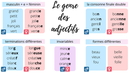 Types of adjectives in French poster | Teaching Resources