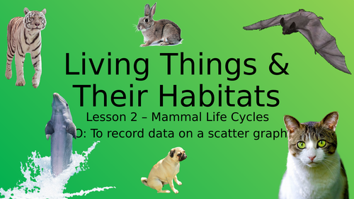 Year 5 Cross-Curricular Mammal Life Cycles Lesson (Living Things ...