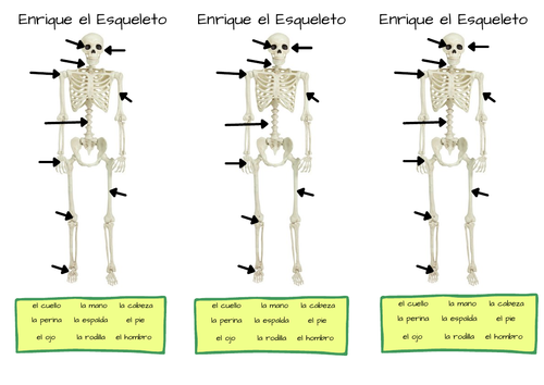 Body Parts Worksheet - Enrique el Esqueleto | Teaching Resources
