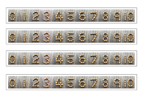 Nature number tracks | Teaching Resources