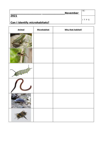Microhabitats Differentiated Worksheets Y2 | Teaching Resources