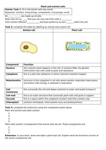 Plant and animal cell worksheet and keyword prompt | Teaching Resources