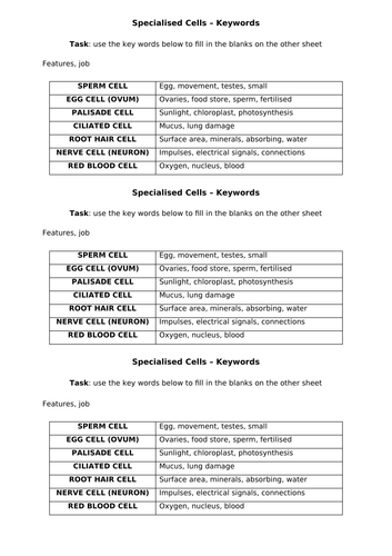Specialised cell worksheet, keyword prompts biology | Teaching Resources