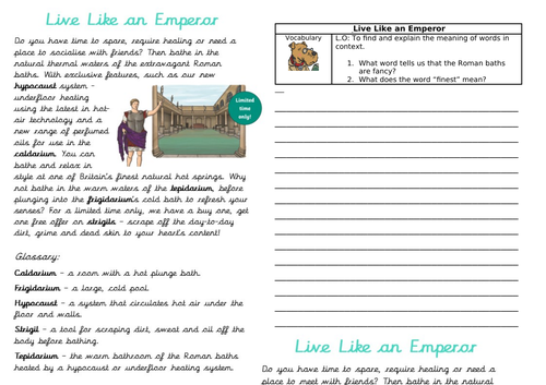 Year 3 Comprehensions | Teaching Resources
