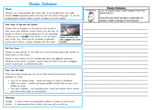Year 3 Comprehensions | Teaching Resources