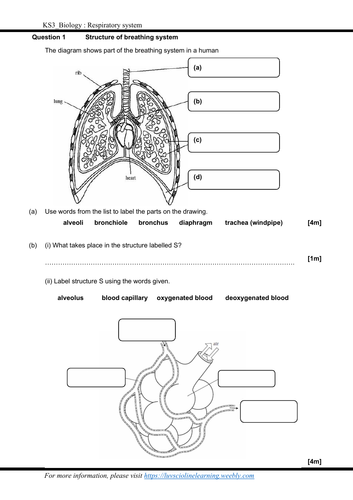 KS3_Secondary 1 checkpoint_worksheet and revision (with answer script ...