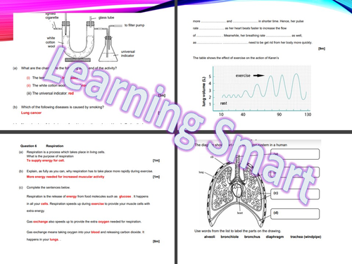 KS3_Secondary 1 checkpoint_worksheet and revision (with answer script ...