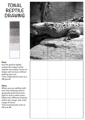 Tonal reptile worksheet | Teaching Resources