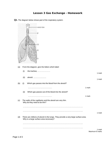KS3 Science - 3.9.3 Breathing & Respiration - Lesson 3 - Gas exchange ...