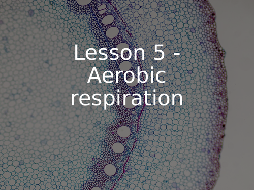 KS3 Science - 3.9.3 Breathing & Respiration - Lesson 5 - Aerobic ...