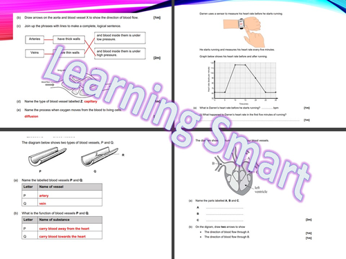 KS3_Secondary 1 checkpoint_worksheet and revision (with answer script ...