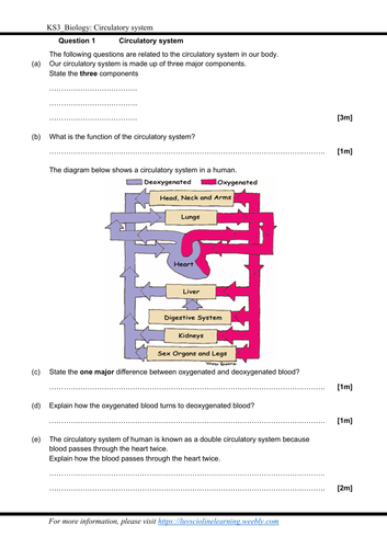 KS3_Secondary 1 checkpoint_worksheet and revision (with answer script ...