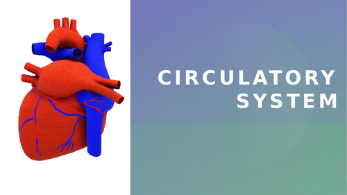 KS3_Secondary 1 checkpoint_worksheet and revision (with answer script ...