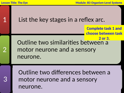 GCSE OCR Lesson on the Eye | Teaching Resources
