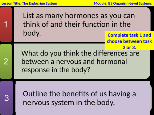 OCR A lesson on the endocrine system. | Teaching Resources