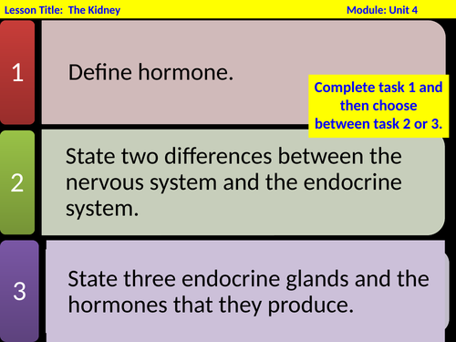 OCR A lesson on the kidney | Teaching Resources